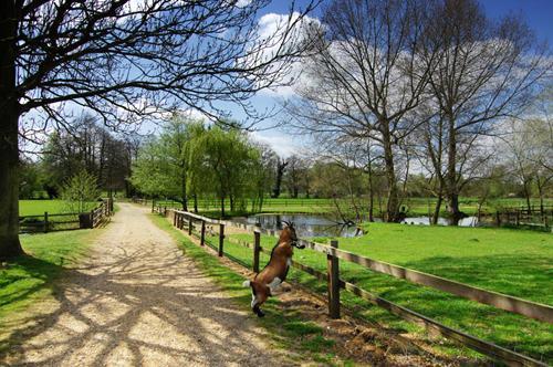 Easton Farm Park Cottages | Away with the Kids | Child Friendly Breaks ...