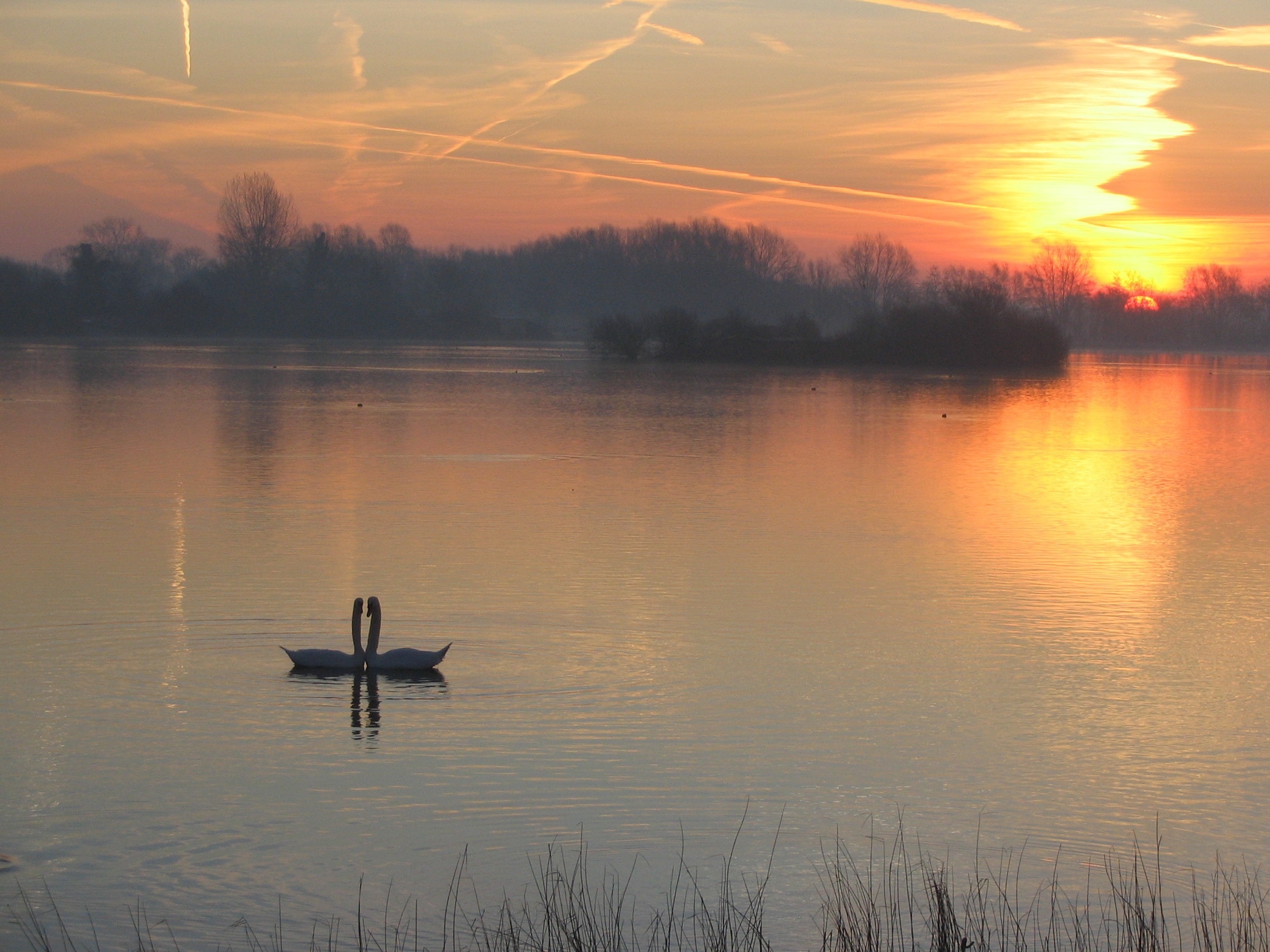 Goose Nest House | Away with the Kids | Away with the kids