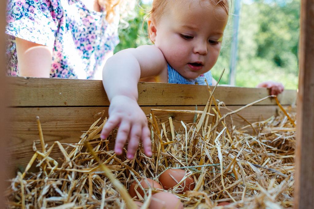 Smallicombe Farm | Away with the Kids | Away with the kids