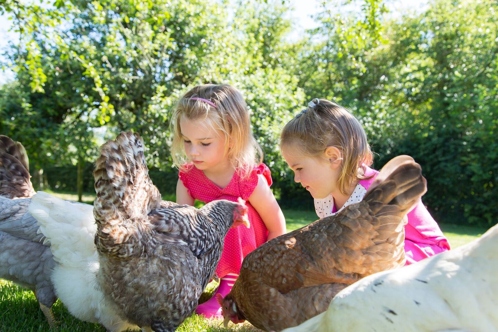 Family Farm Holidays - Meeting the Animals | Away with the Kids | Away ...
